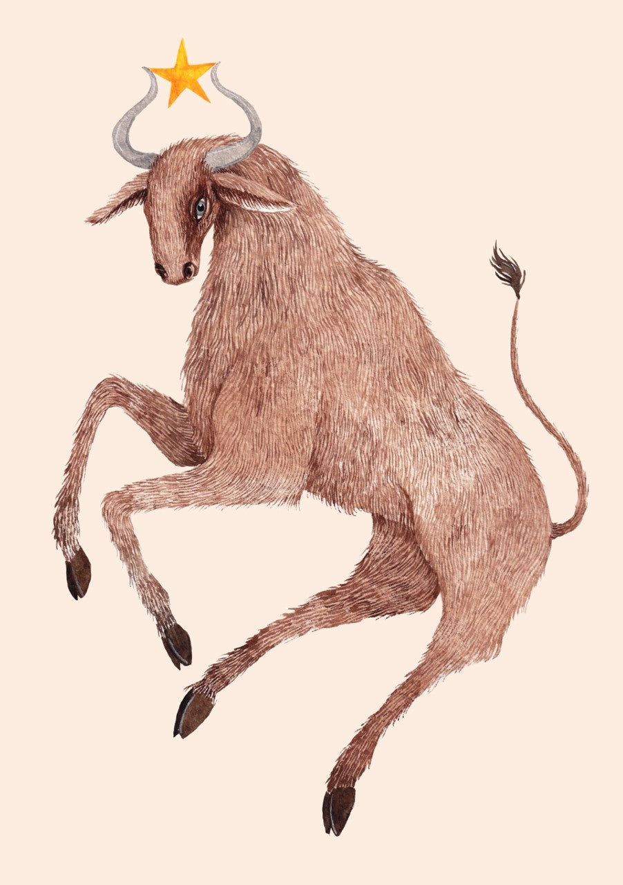Sternbild Stier: die wichtigsten Merkmale auf einen Blick - Moonsisters